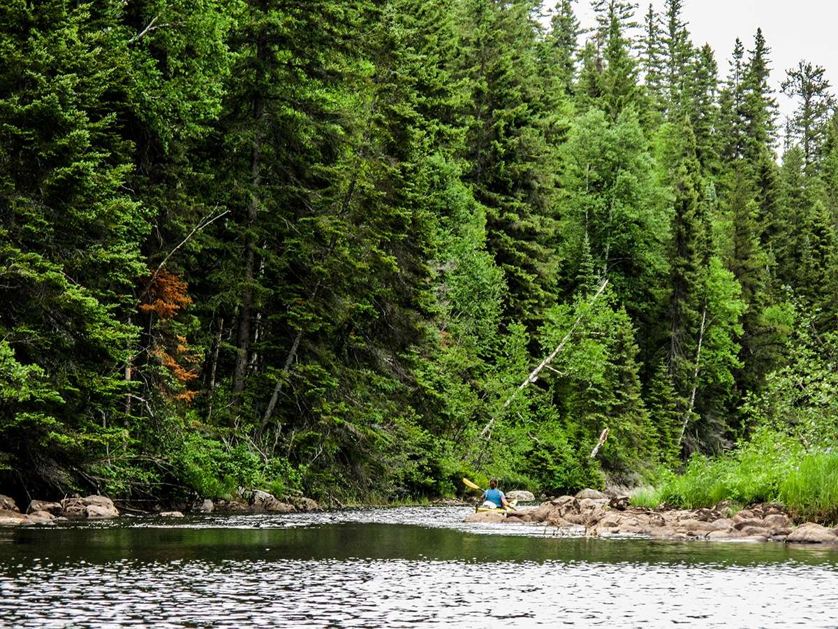 Bousquet Meander Paddling Trail | Canoe | Access to Outdoors