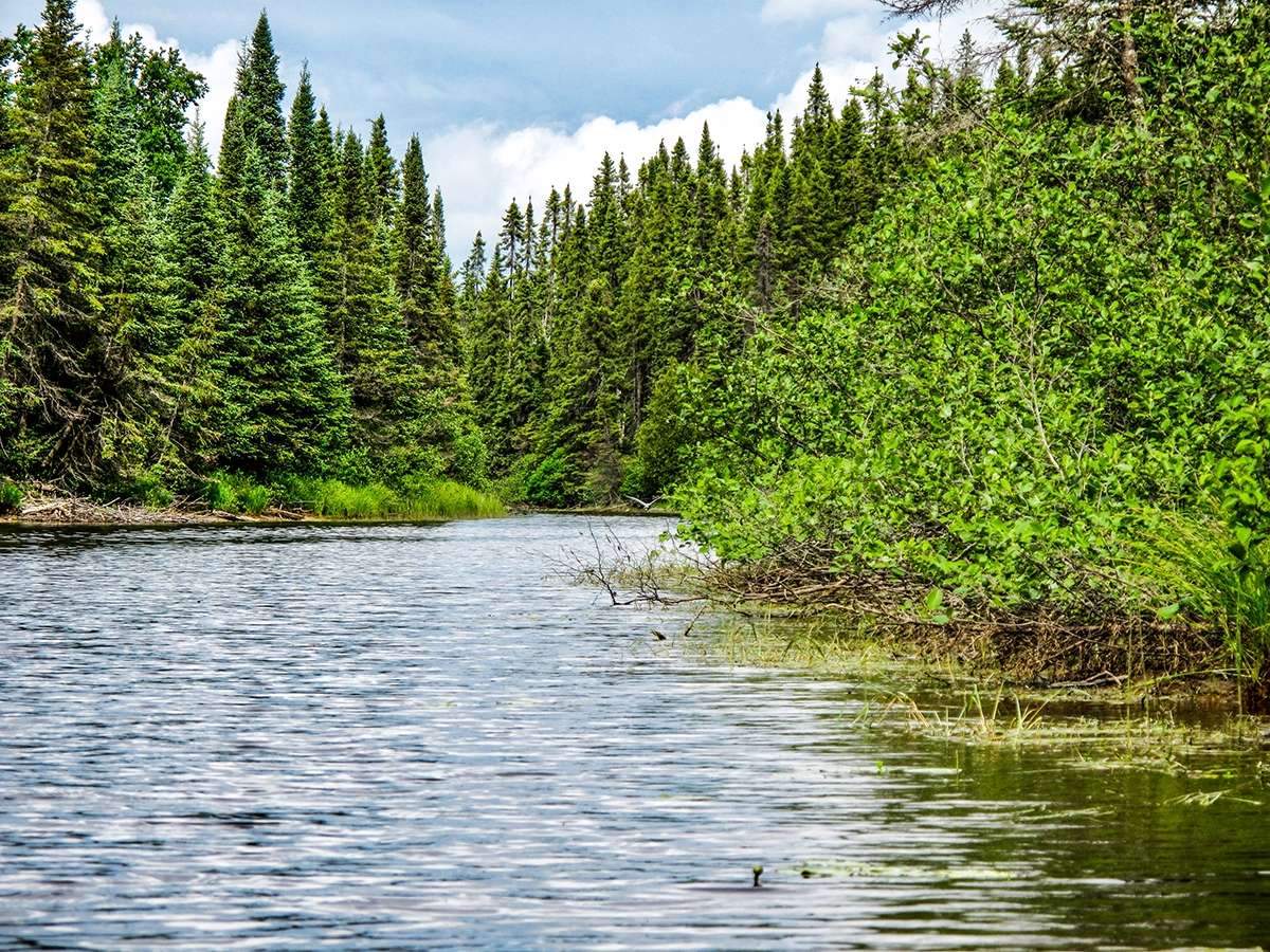 Bousquet Meander Paddling Trail | Canoe | Access to Outdoors