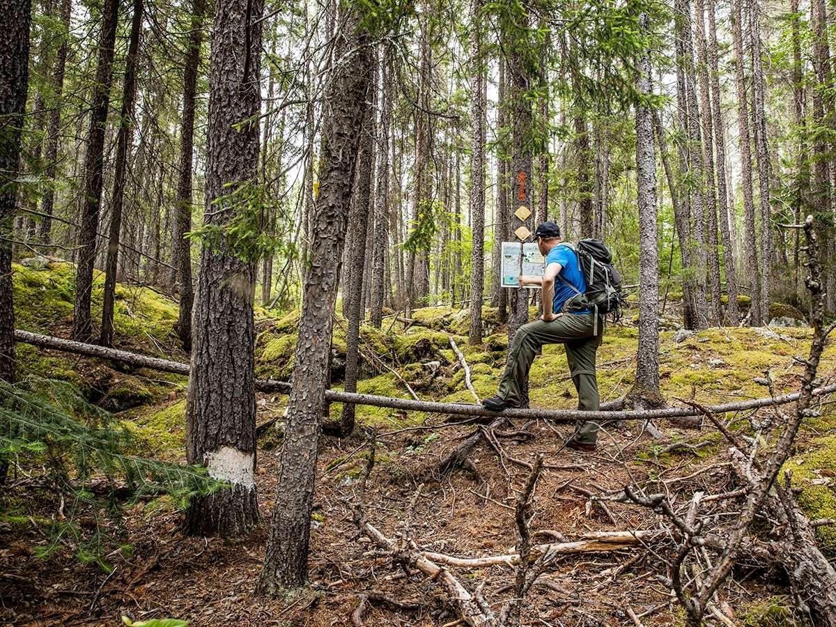 Sentiers pédestres des collines d'Hébécourt | Randonnée pédestre ...