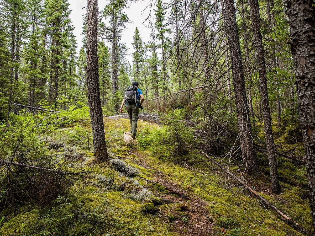 Sentiers pédestres des collines d'Hébécourt | Randonnée pédestre ...
