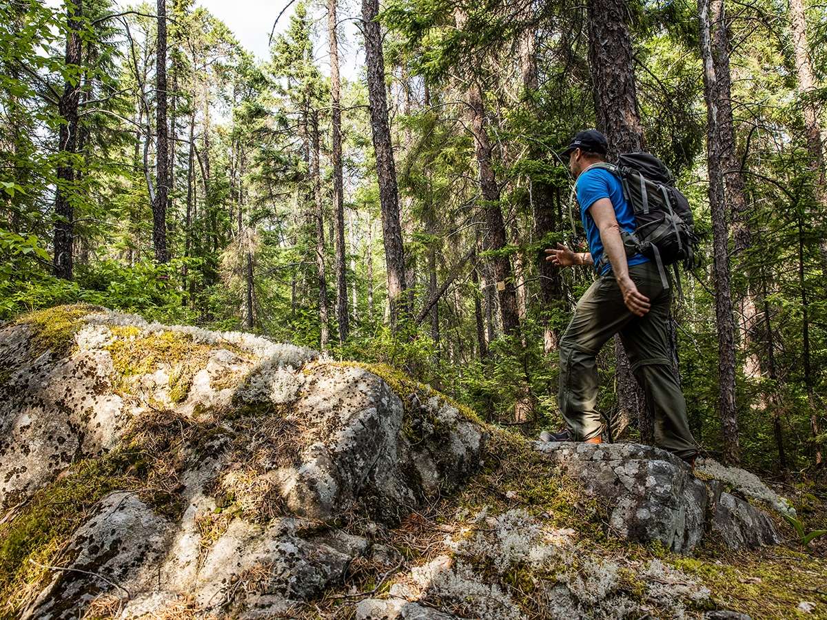 Sentiers pédestres des collines d'Hébécourt | Randonnée pédestre ...