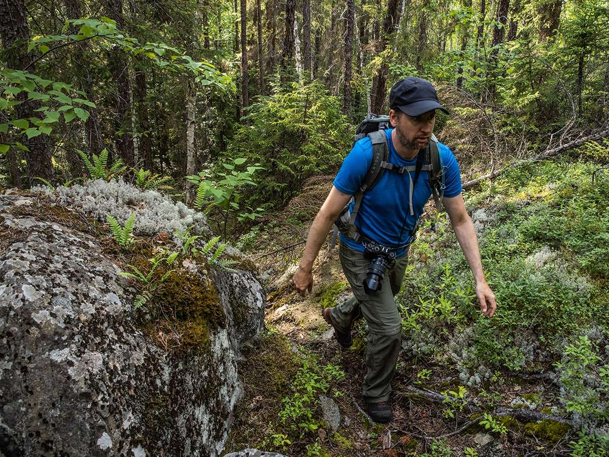 Sentiers pédestres des collines d'Hébécourt | Randonnée pédestre ...