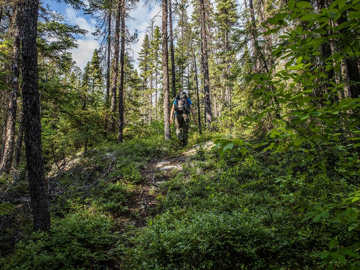 Sentiers pédestres des collines d'Hébécourt | Randonnée pédestre ...
