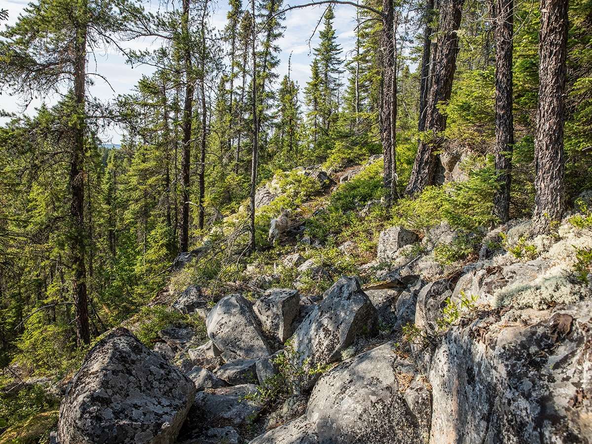Sentiers pédestres des collines d'Hébécourt | Randonnée pédestre ...