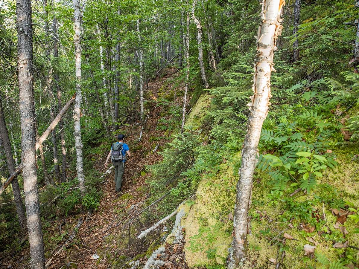 Sentiers pédestres des collines d'Hébécourt | Randonnée pédestre ...