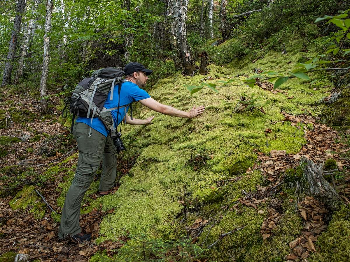 Sentiers pédestres des collines d'Hébécourt | Randonnée pédestre ...