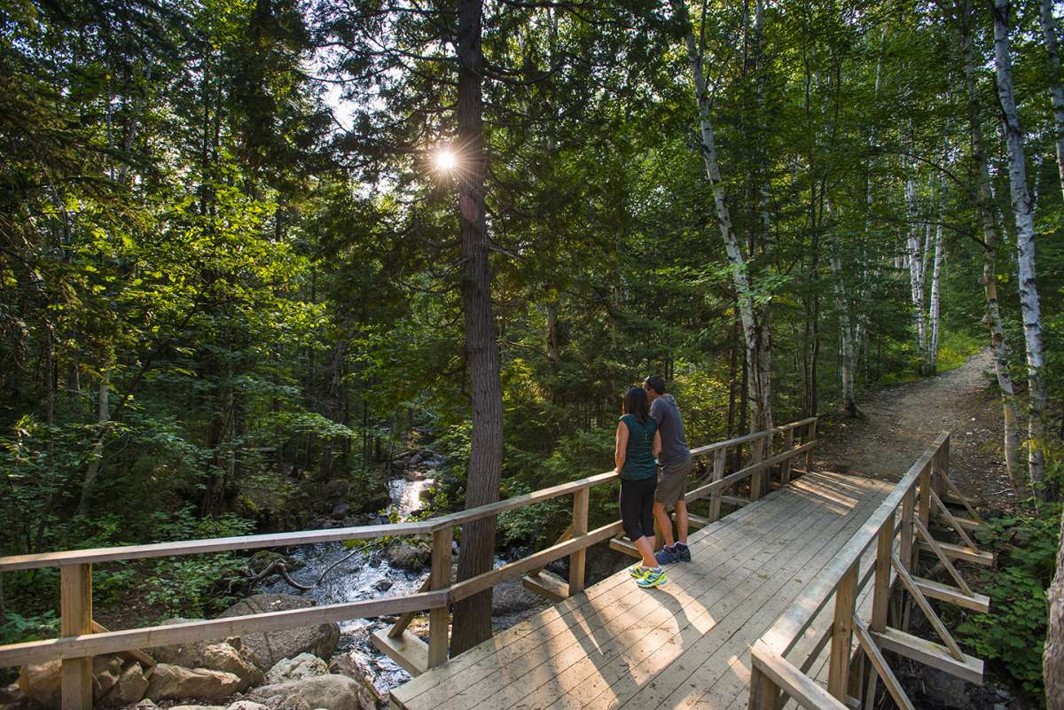 Sentiers pédestres du parc national d'Aiguebelle | Randonnée pédestre ...