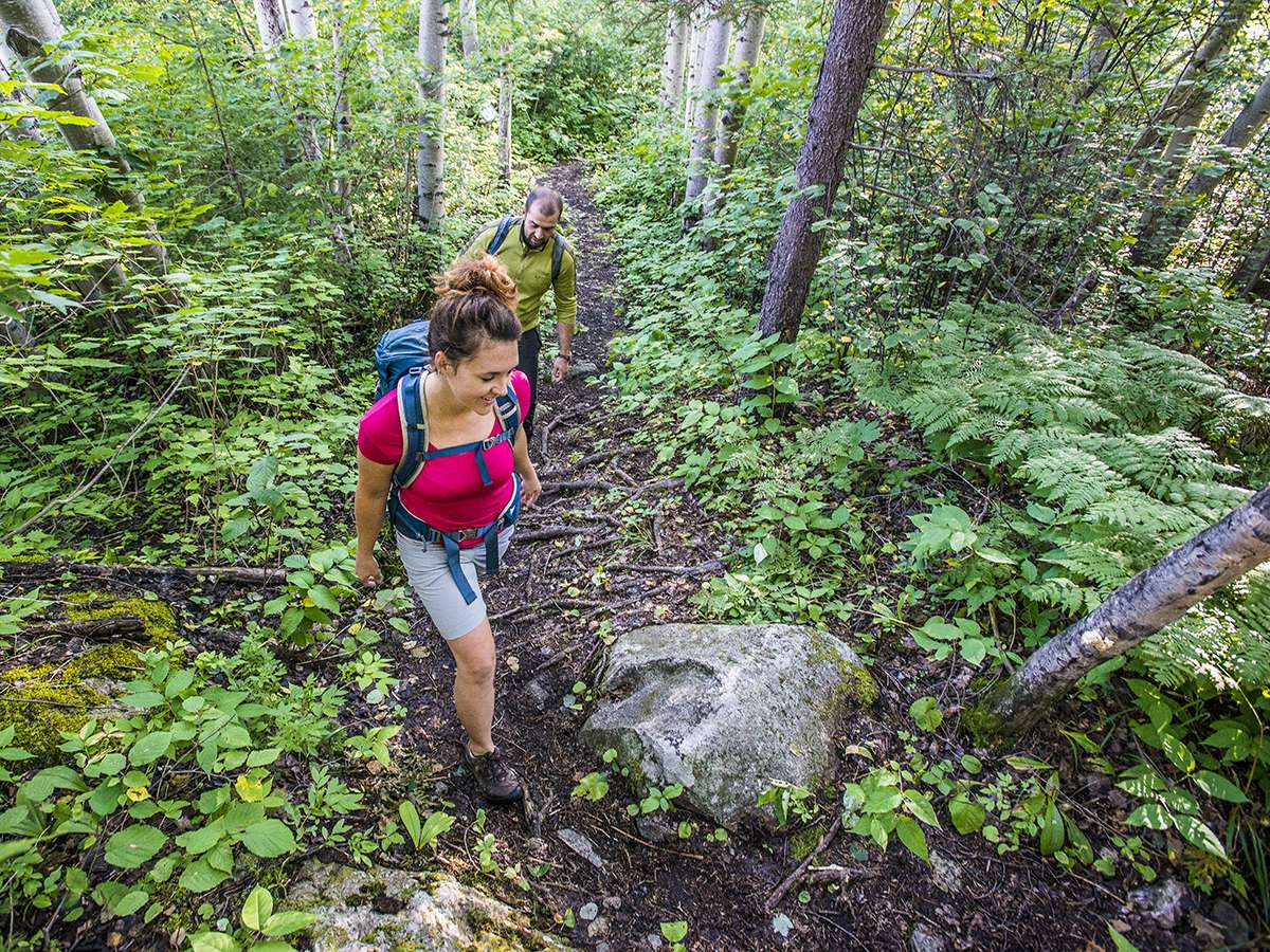 Sentiers pédestres des Collines D’Alembert | Randonnée pédestre | Accès ...