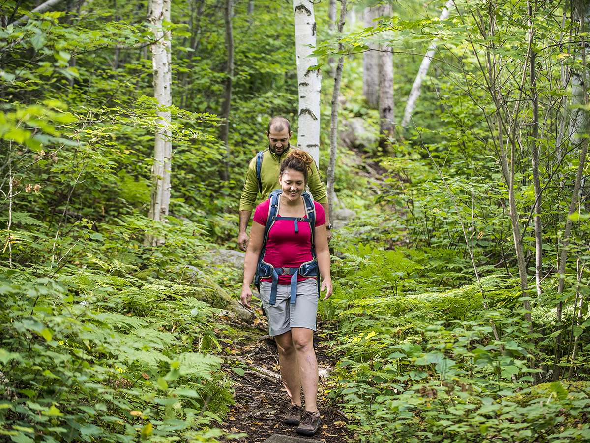 Sentiers pédestres des Collines D’Alembert | Randonnée pédestre | Accès ...