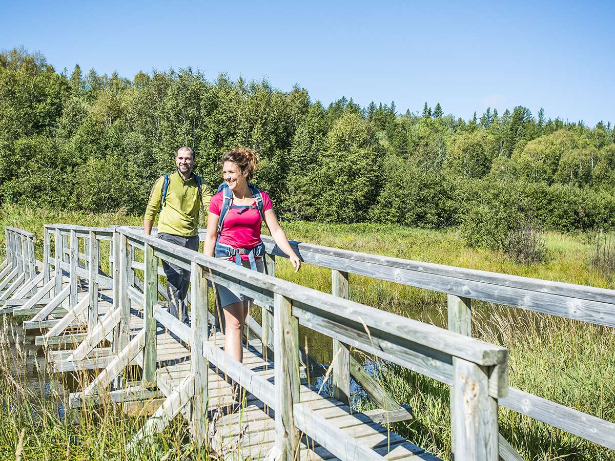 Sentiers pédestres des Collines D’Alembert | Randonnée pédestre | Accès ...