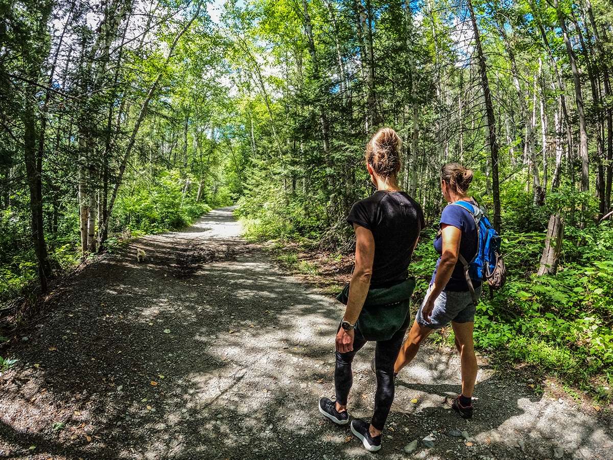 Sentiers pédestres des collines Kekeko | Randonnée pédestre | Accès ...