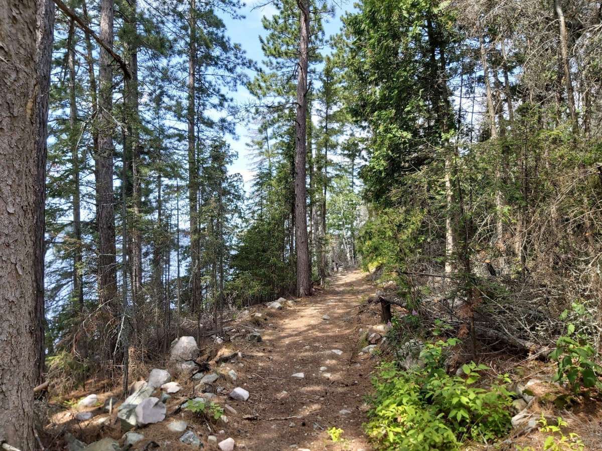 Sentiers pédestres Pointe-aux-Roches | Hiking | Access to Outdoors