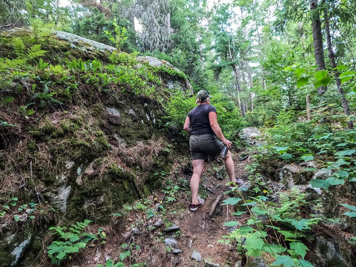 De la Pointe-aux-Roches Park | Hiking | Access to Outdoors