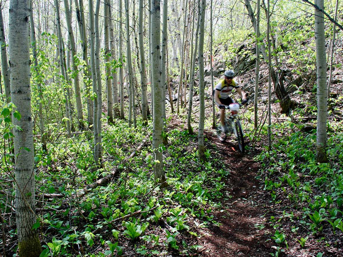 Mont Powell Mountain Bike Trails | Mountain biking | Access to Outdoors