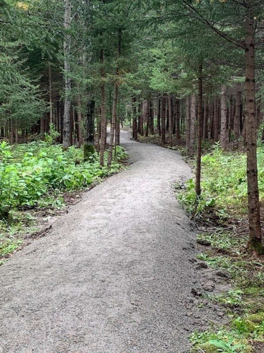 Rapids «Chute à Grandmaison» Hiking Trails | Hiking | Access to Outdoors